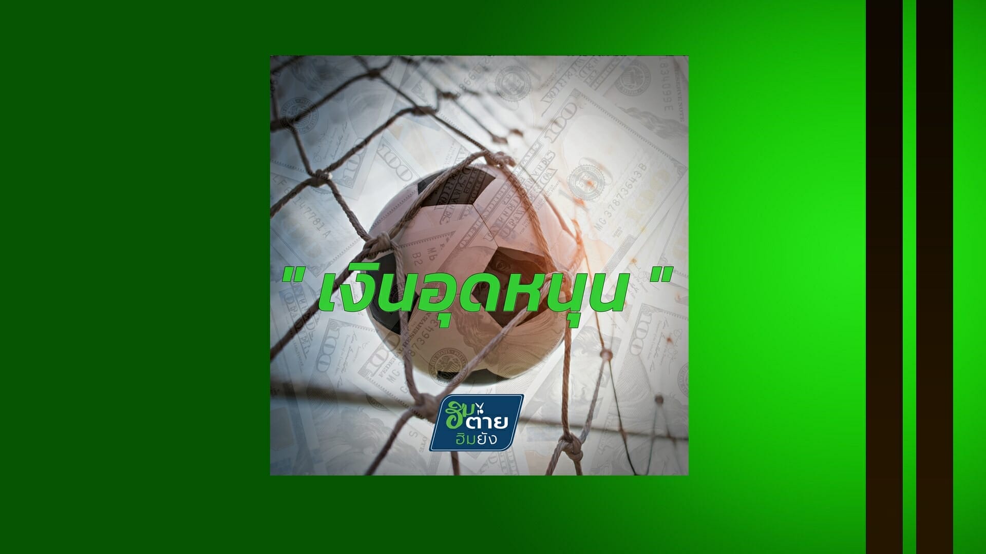 ฮิมต๋ายฮิมยัง : เงินอุดหนุน